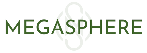 MEGASPHERE: A Business Community for Service Professionals