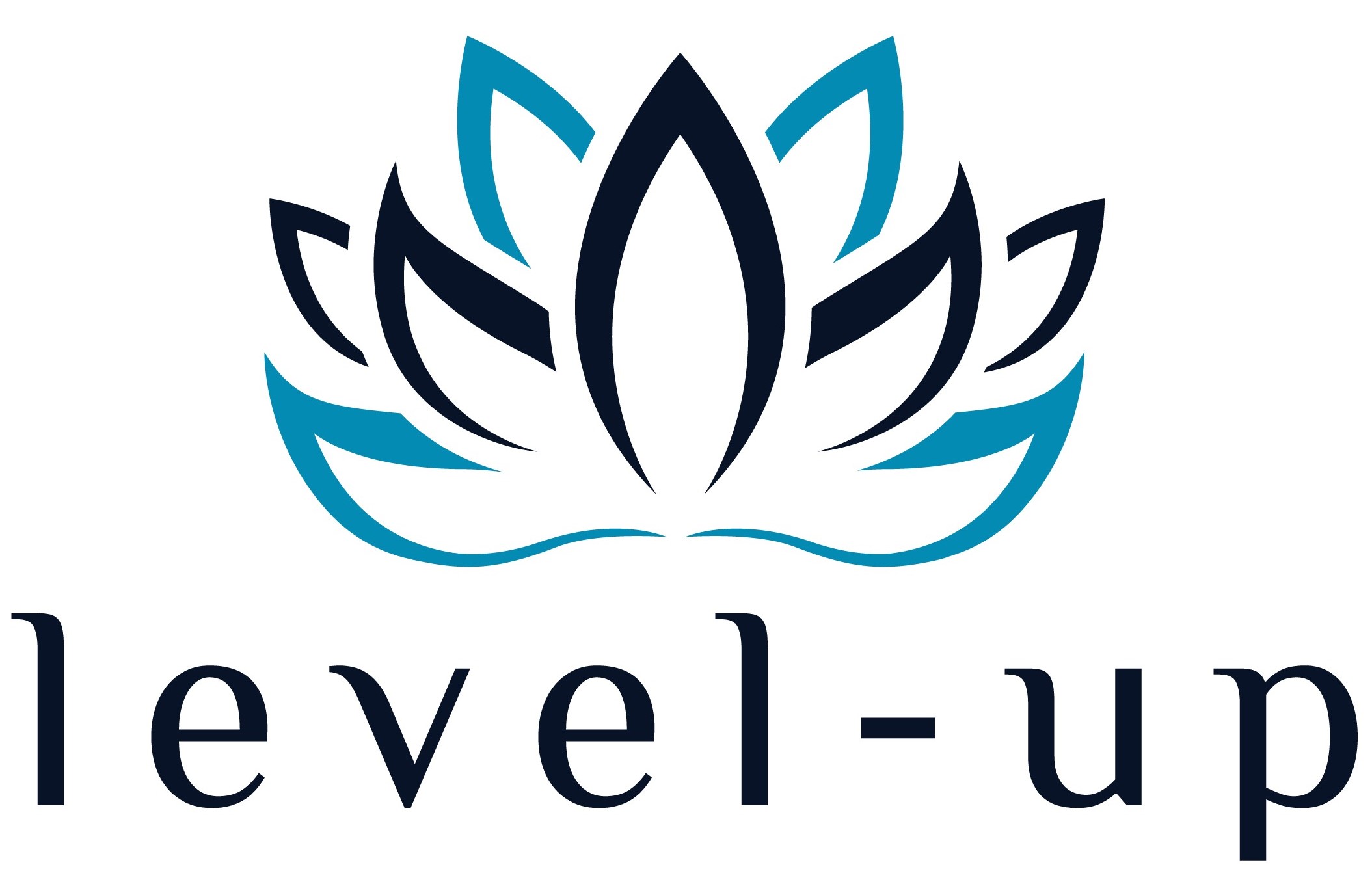 level-up consulting