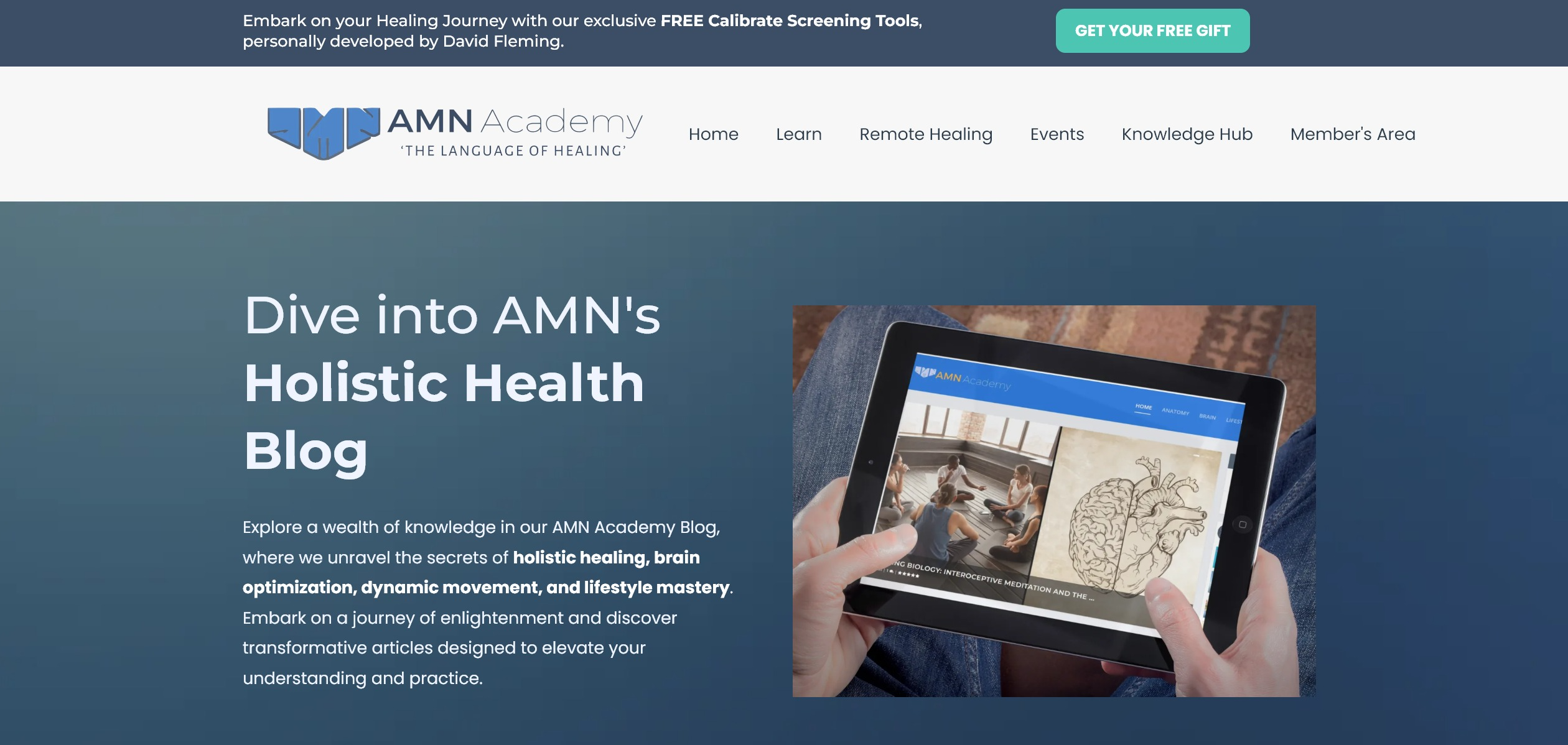 AMN's Holistic Health Blog