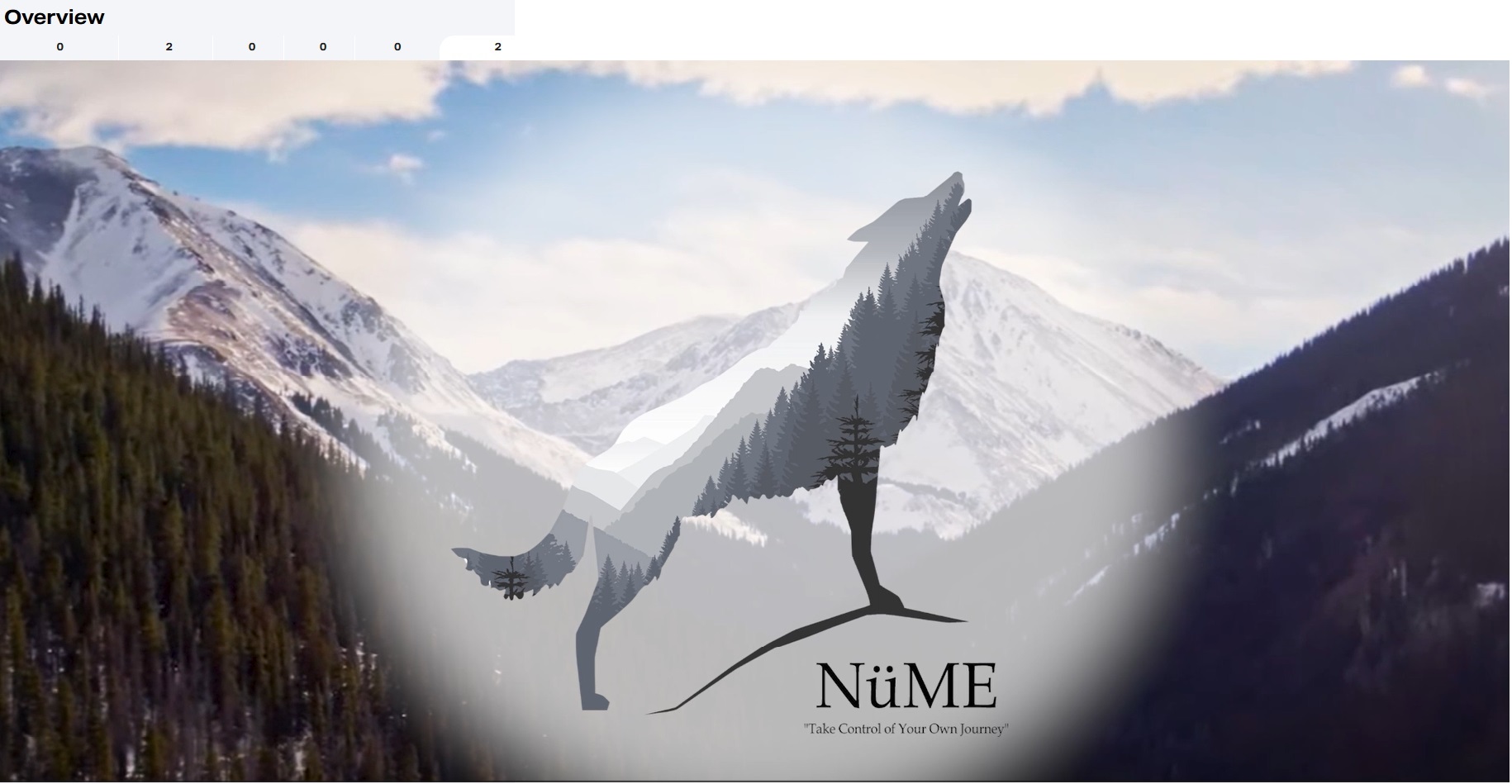 NüME Wellness and Recovery Centers