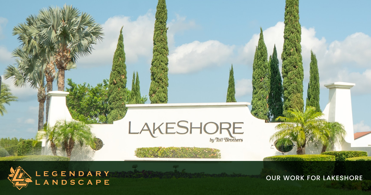 Lakeshore Landscaping Details | Legendary Landscape