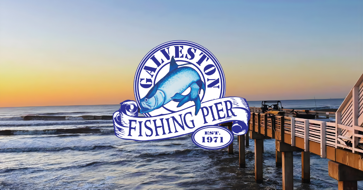 Live Galveston Pier Cam & Real-Time Fishing Conditions