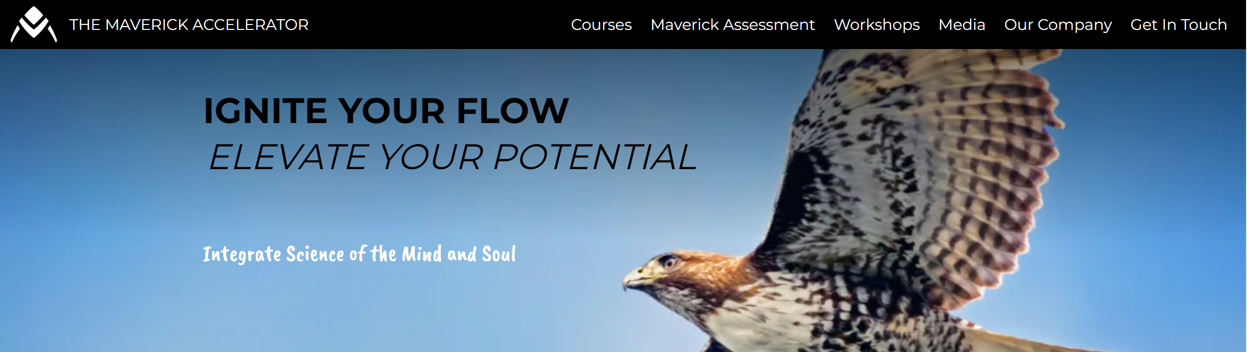 The Maverick Accelerator Homepage