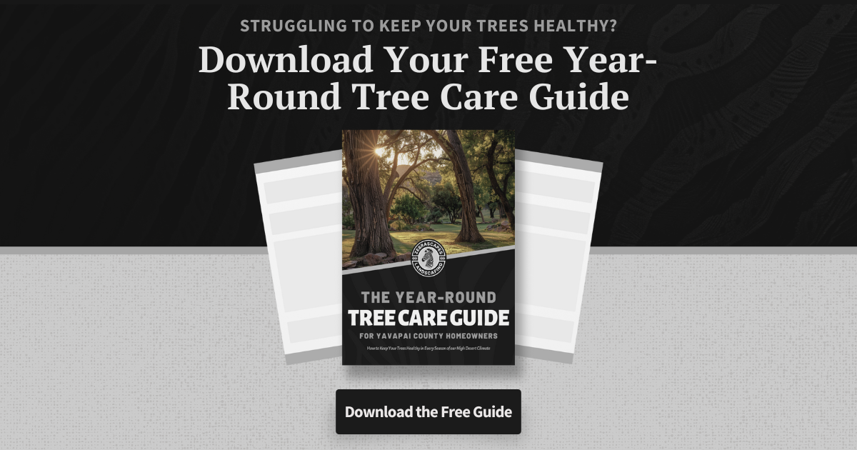 Get Your Free Year-Round Tree Care Guide | ZebraScapes