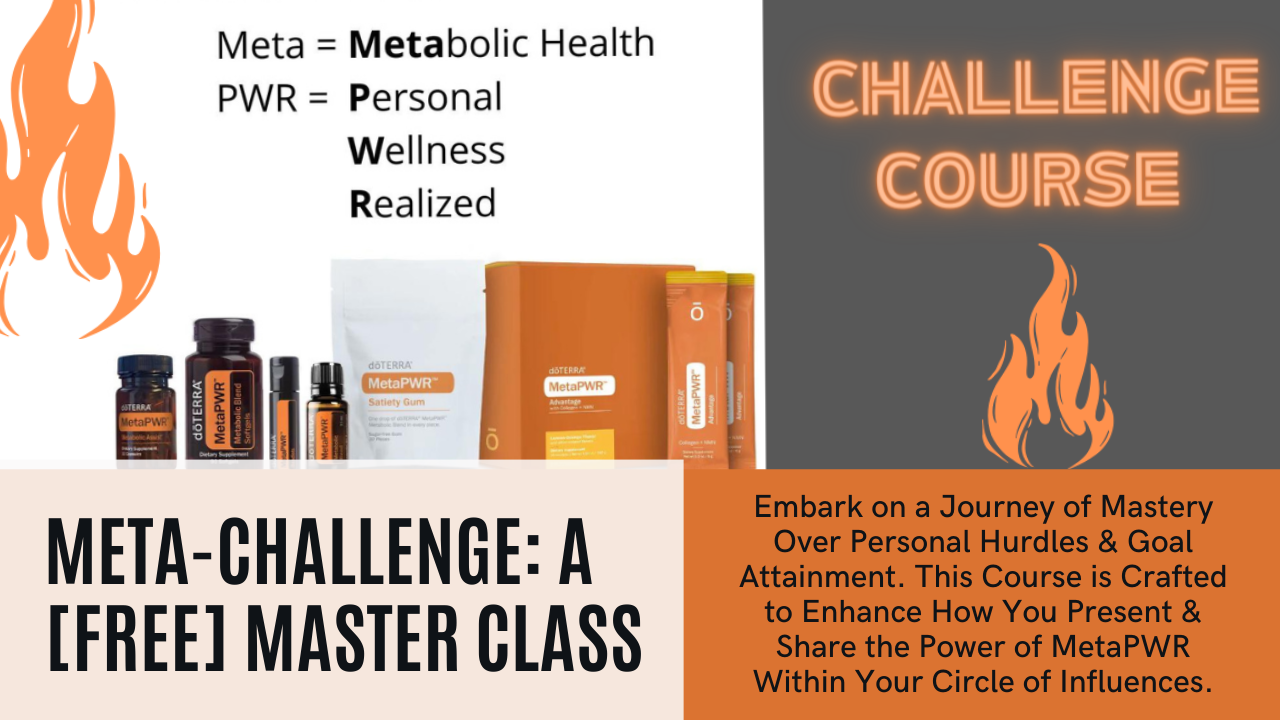 Meta Challenge Course [FREE] Master Class