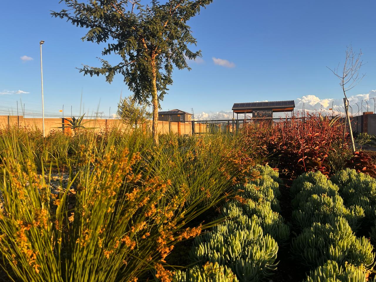 Thrive Development New Property Development In Alberton