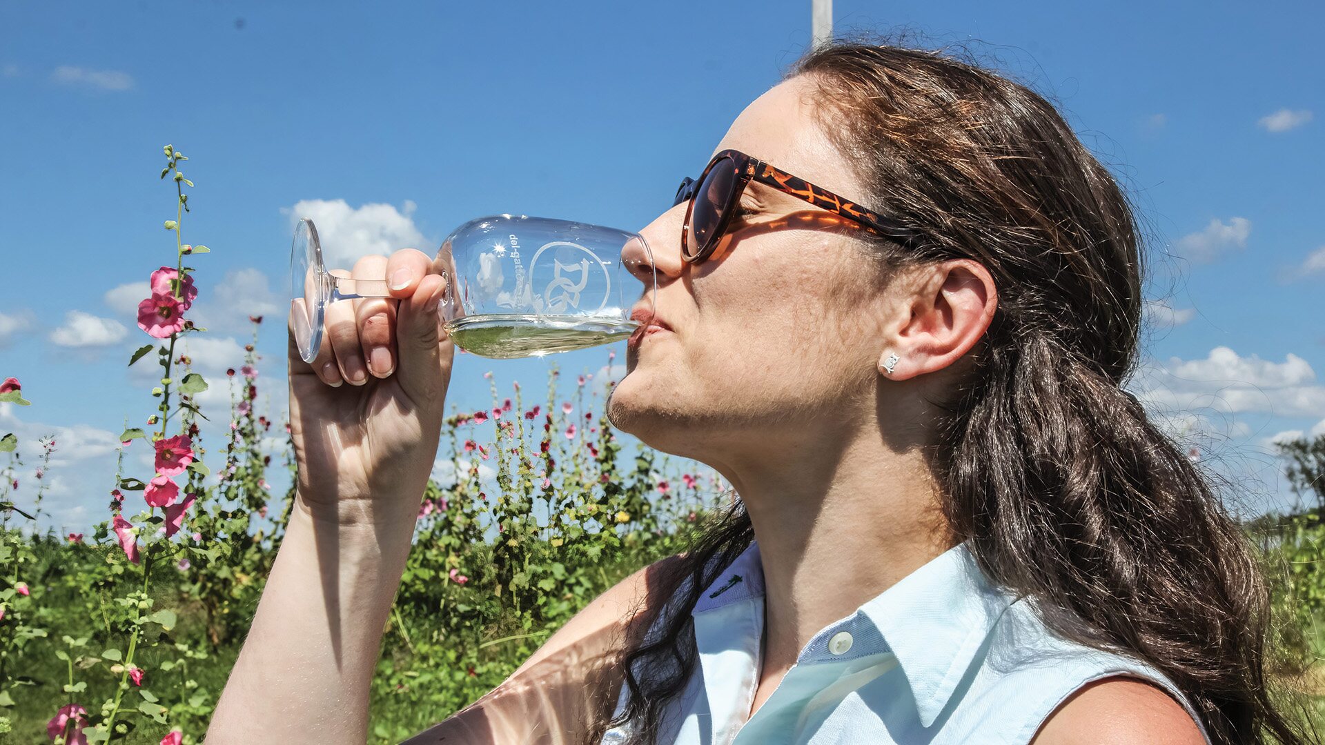 Wine Tastings with County Sips