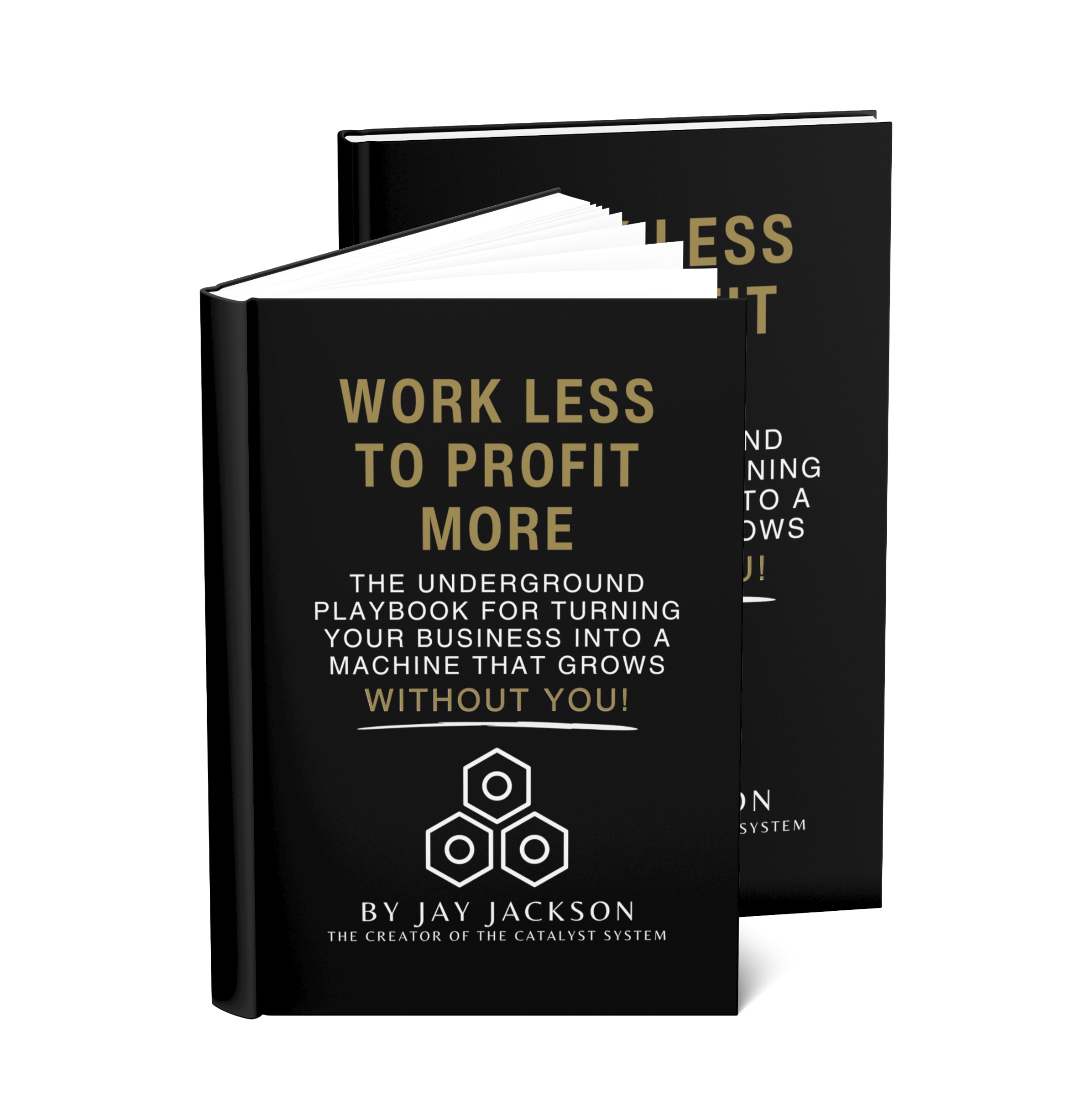 Work Less To Profit More Book