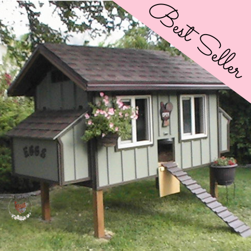 Daisy Chicken Coop Plans