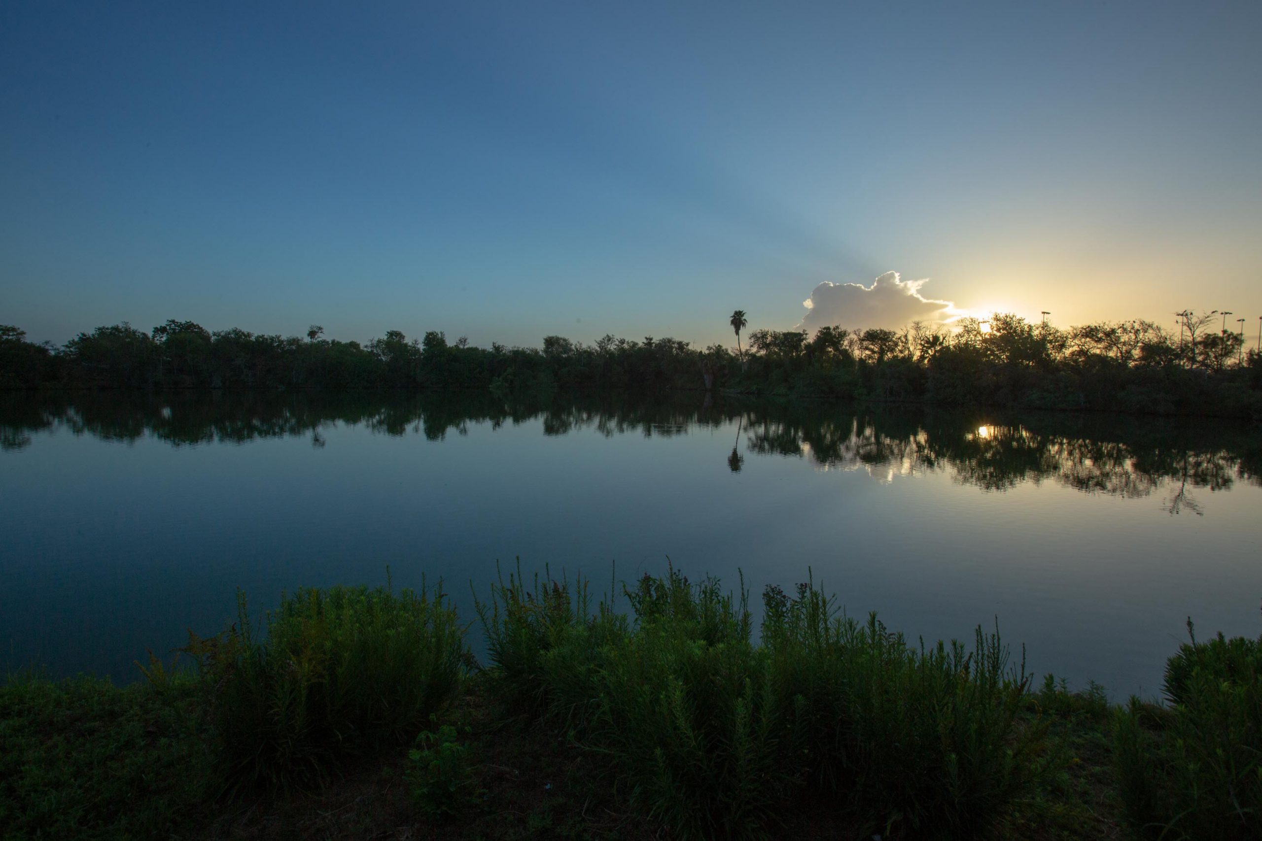 Discover the Natural Beauty of Edinburg Scenic Wetlands & World Birding ...