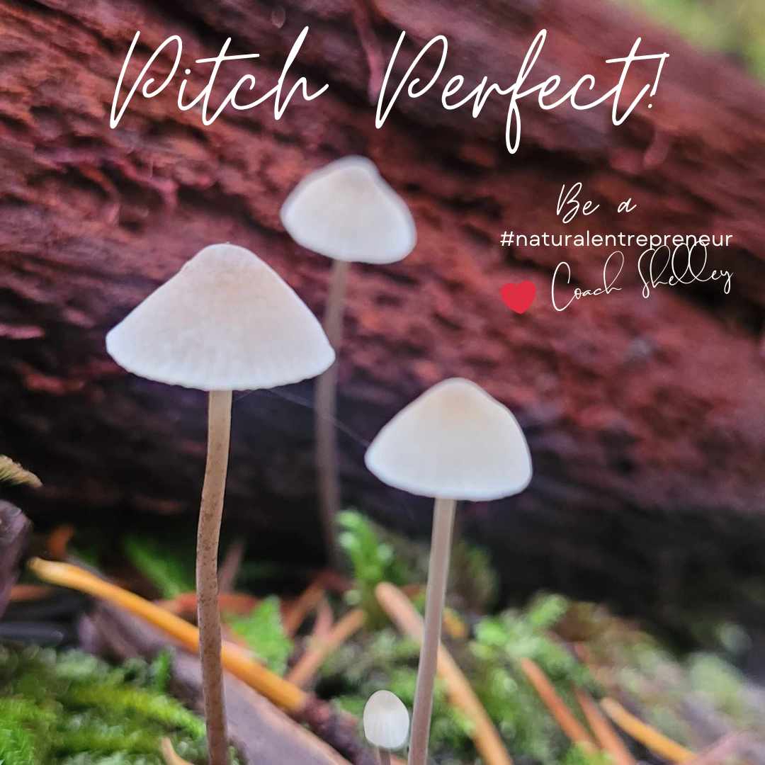 The Natural Entrepreneur Presents - The Pitch Perfect Contest