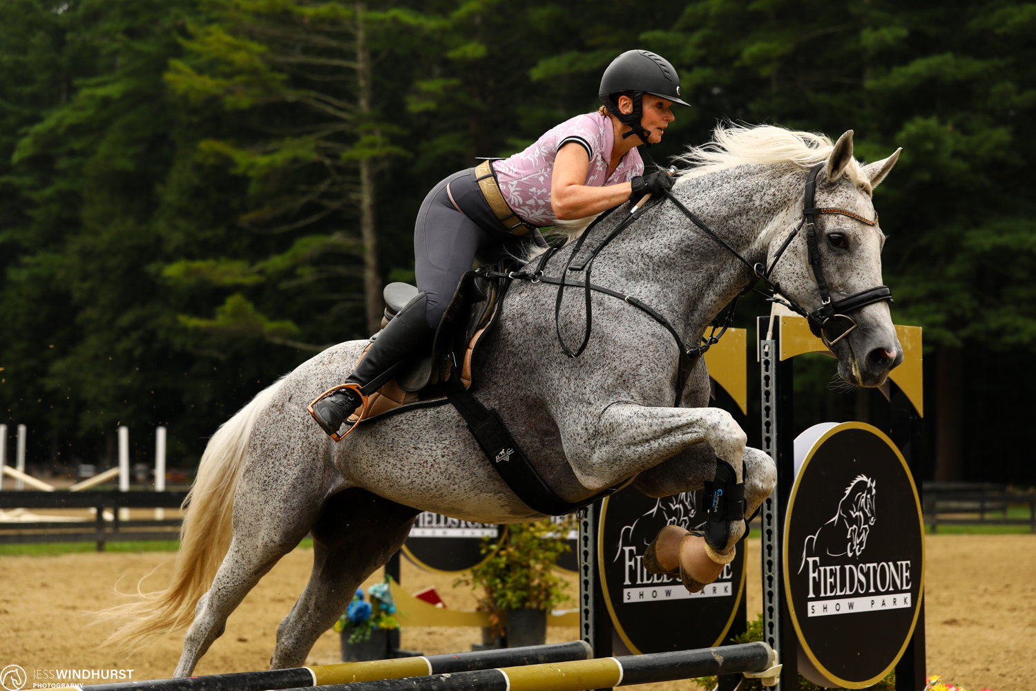 Heron's Crest Stables - Home