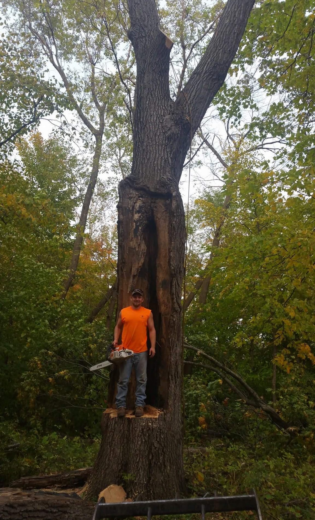 Weaver's Tree Service - Testimonials