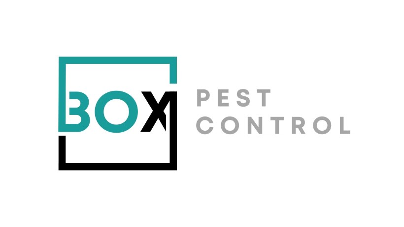 Box Pest Control | Farmington, NM
