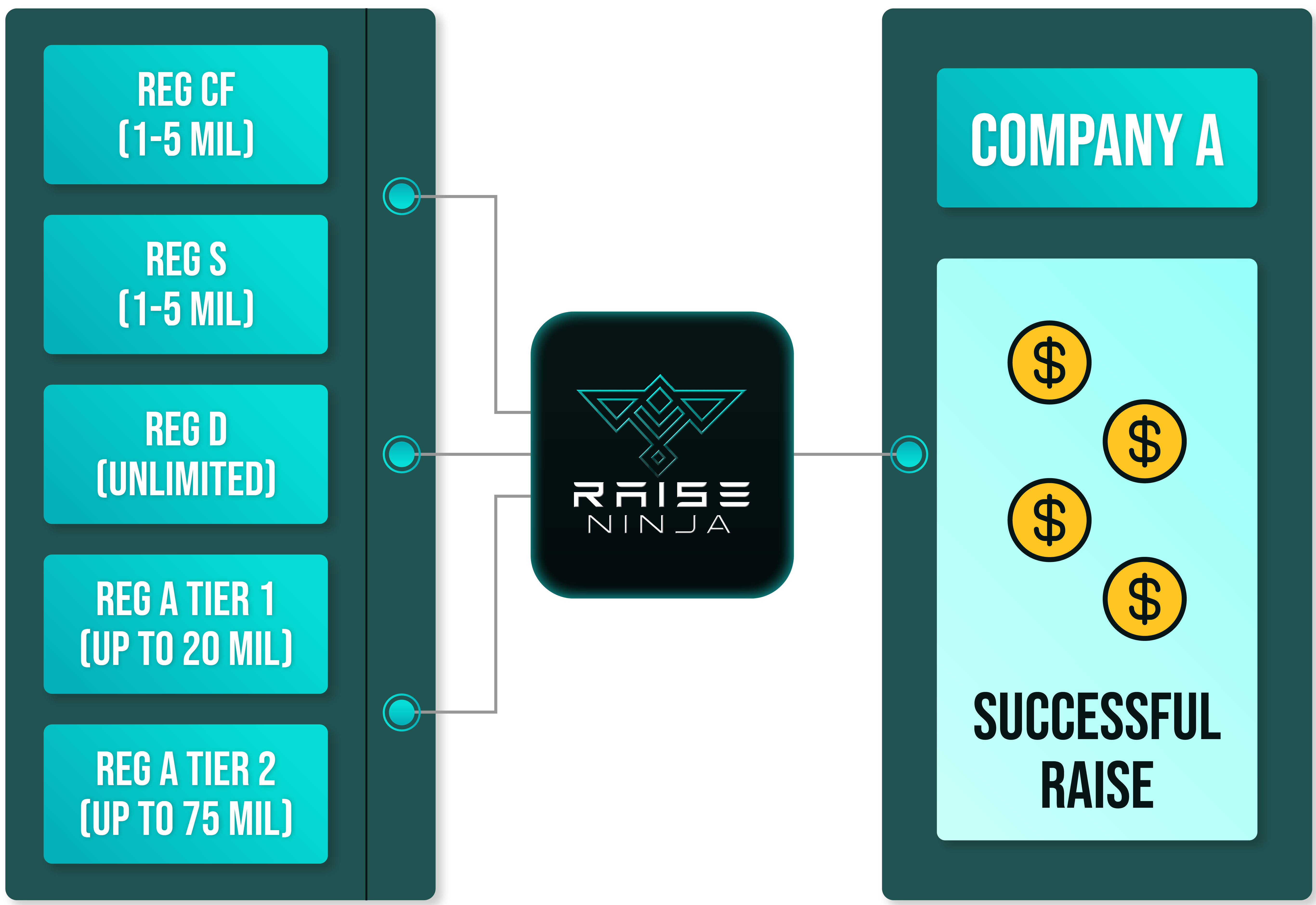 RAISE NINJA - YOUR LAUNCHPAD FOR RAISING CAPITAL