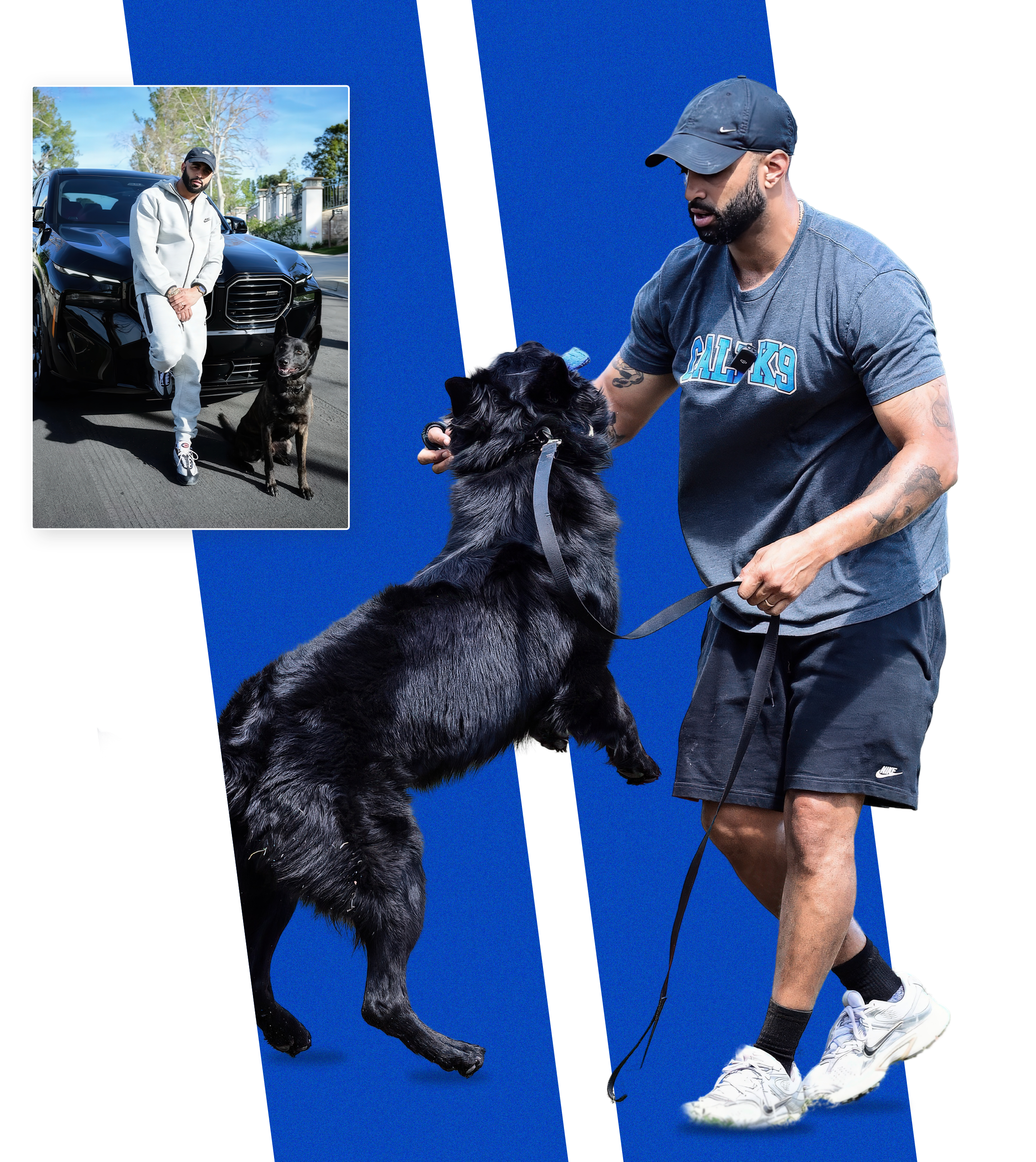 Cali K9 | Dog Training Mentorship