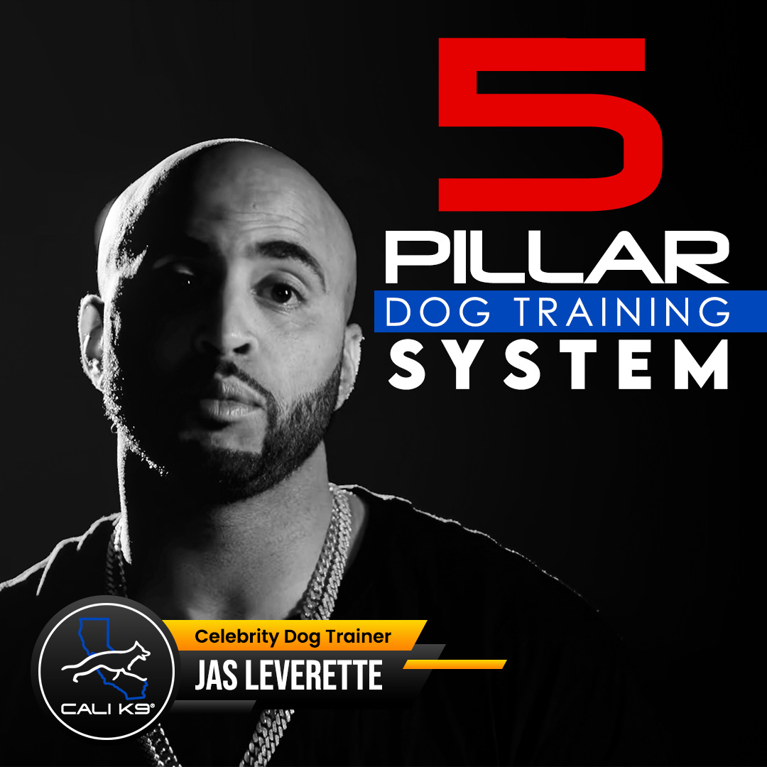 Cali K9 | 5 Pillar Dog Training System