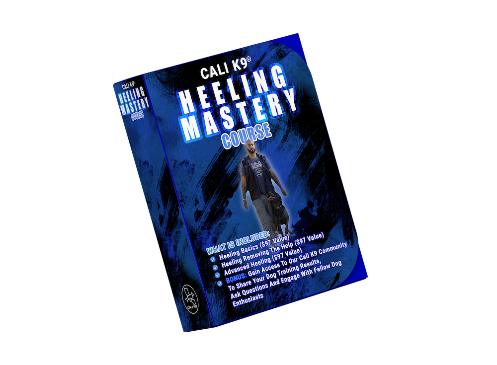 Cali K9 | Heeling Mastery Course