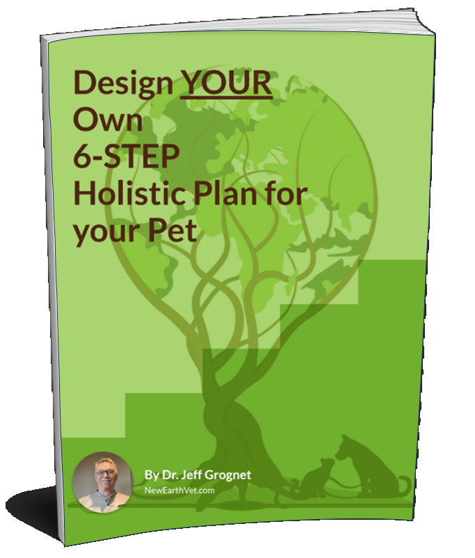 6-STEP Guide to Becoming Holistic