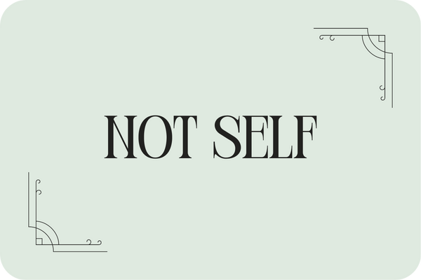 Beginners Guide to Human Design - Not self Theme