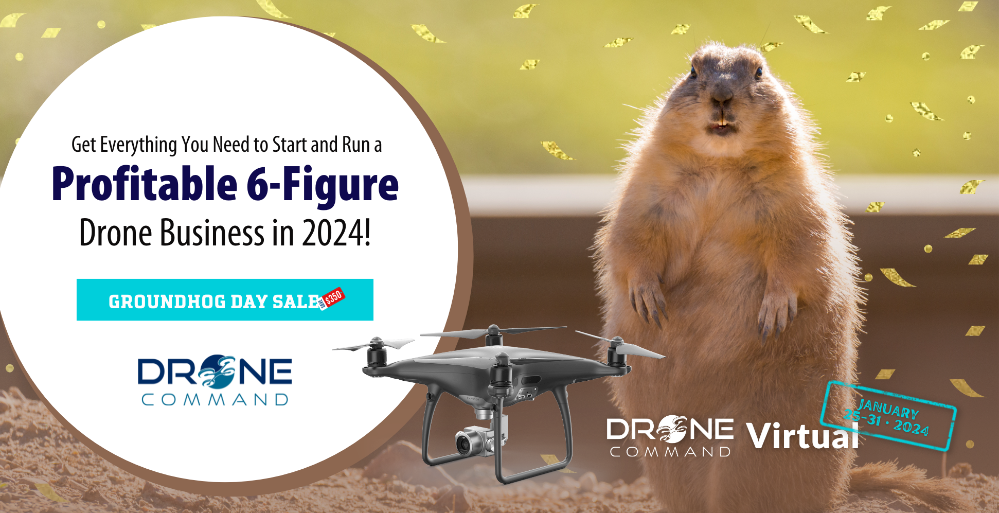 Checkout | Drone Command Live