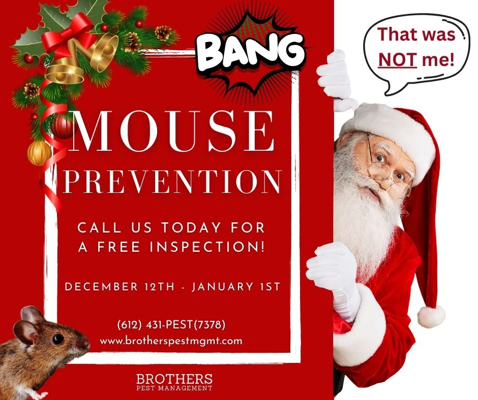 Brothers Pest Management - Home