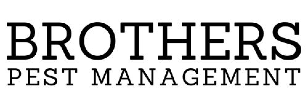 Brothers Pest Management - Home