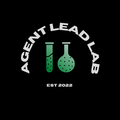 Home Page - Agent Lead Lab