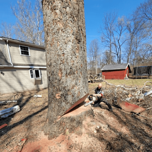 Welcome to American Tree Cutter's & Landscaping! We are the premier ...