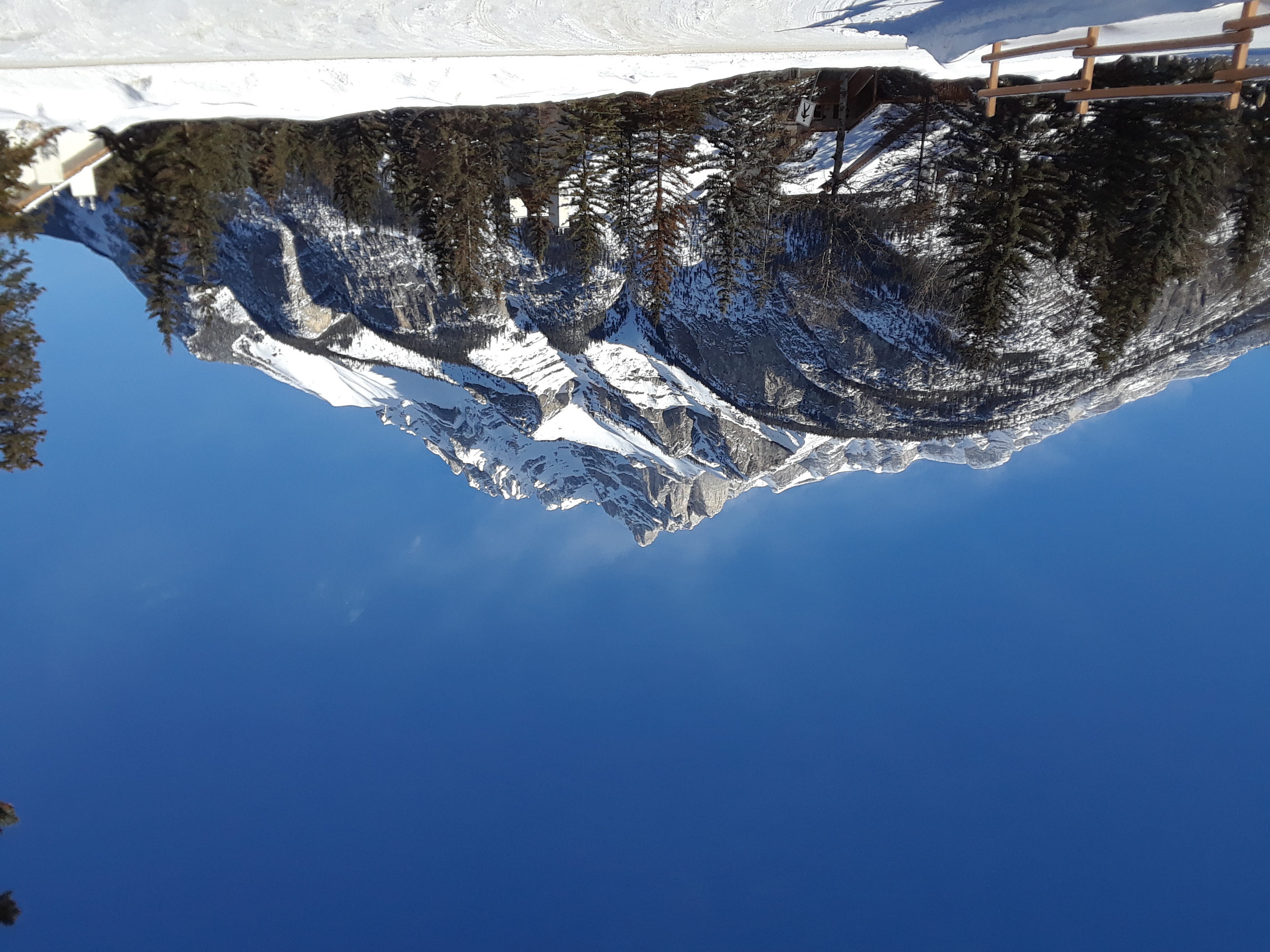 The Happy Healthy Human