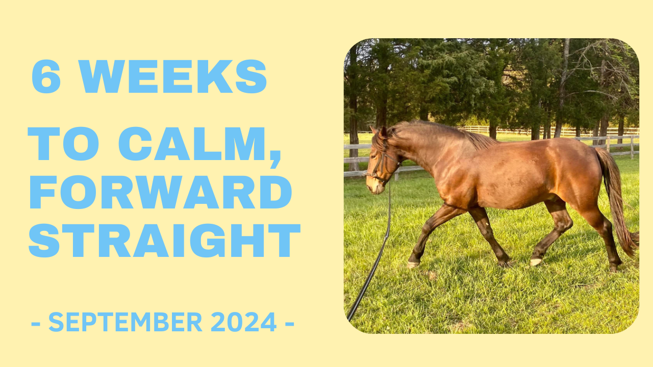 SIX WEEKS TO CALM, FORWARD AND STRAIGHT