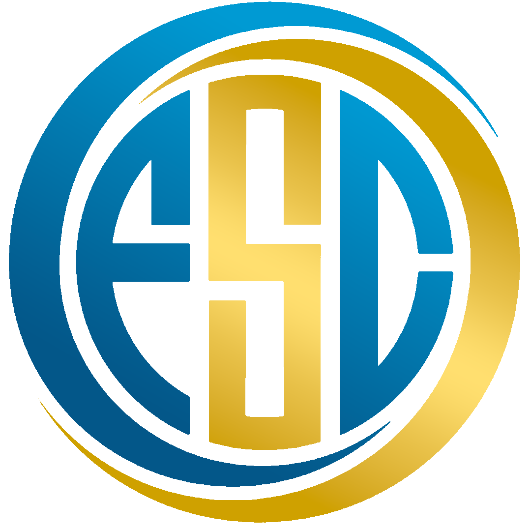 The Flow State Collective