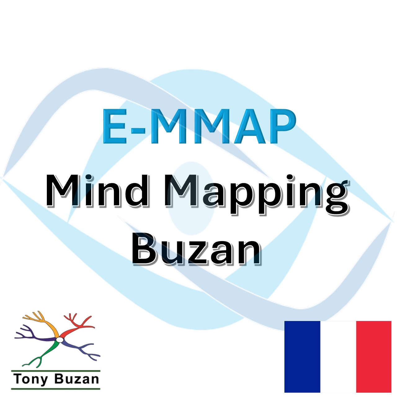 E-MMAP : Mind Mapping Buzan