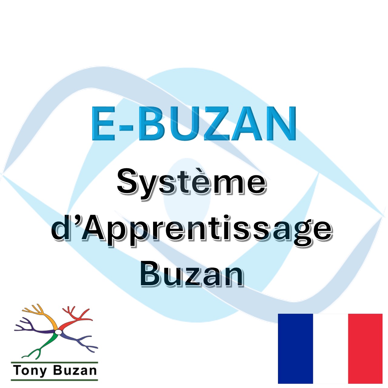 E-BUZAN : Système d'Apprentissage Buzan