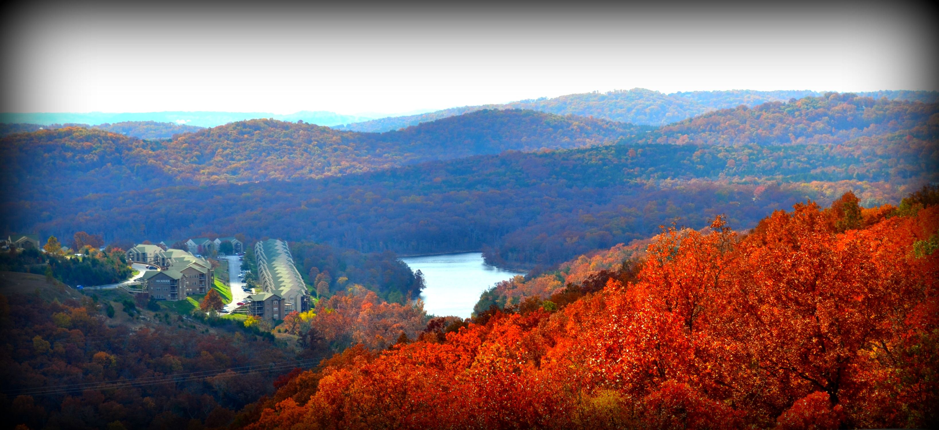 Breaking Biscuits About Us