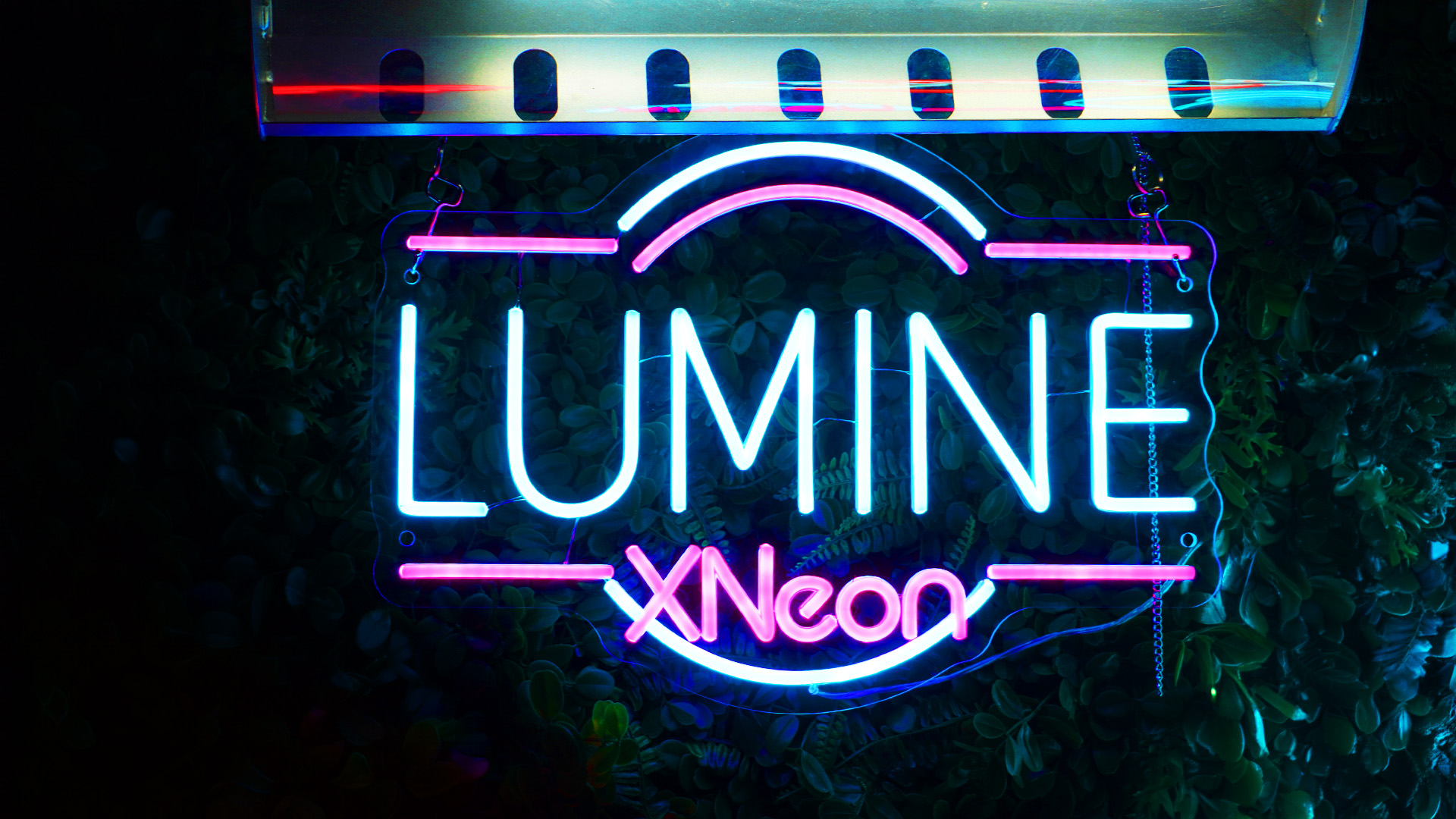 Custom LED Neon Sign | Lumine.XNeon – Personalize Your Neon Design