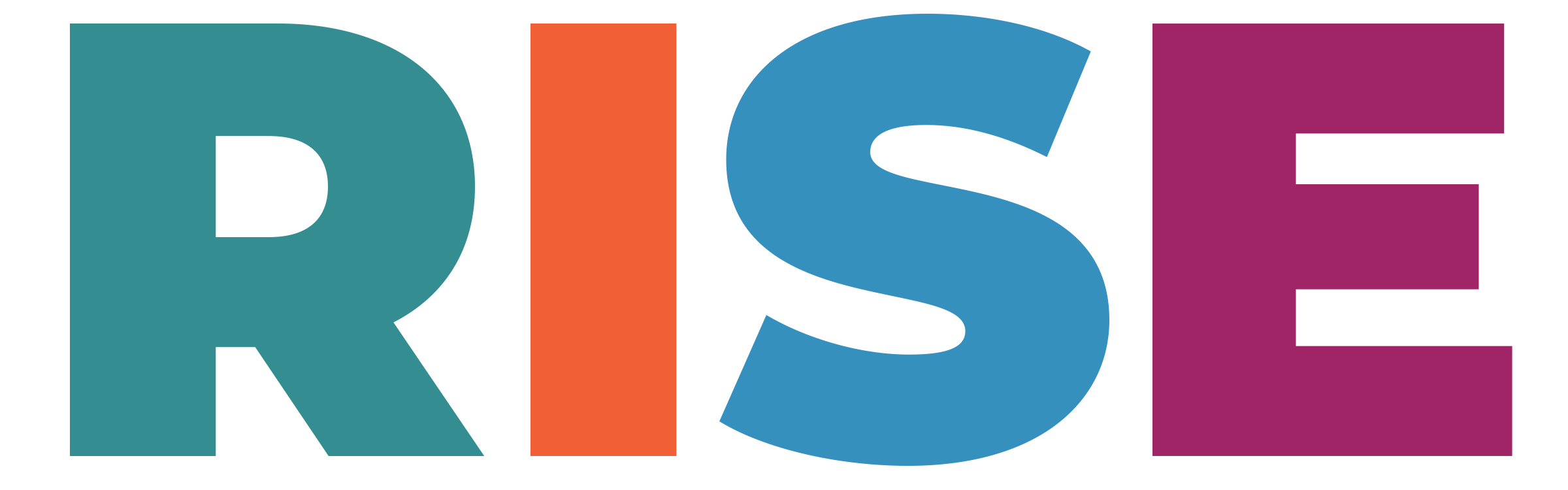 The RISE Framework