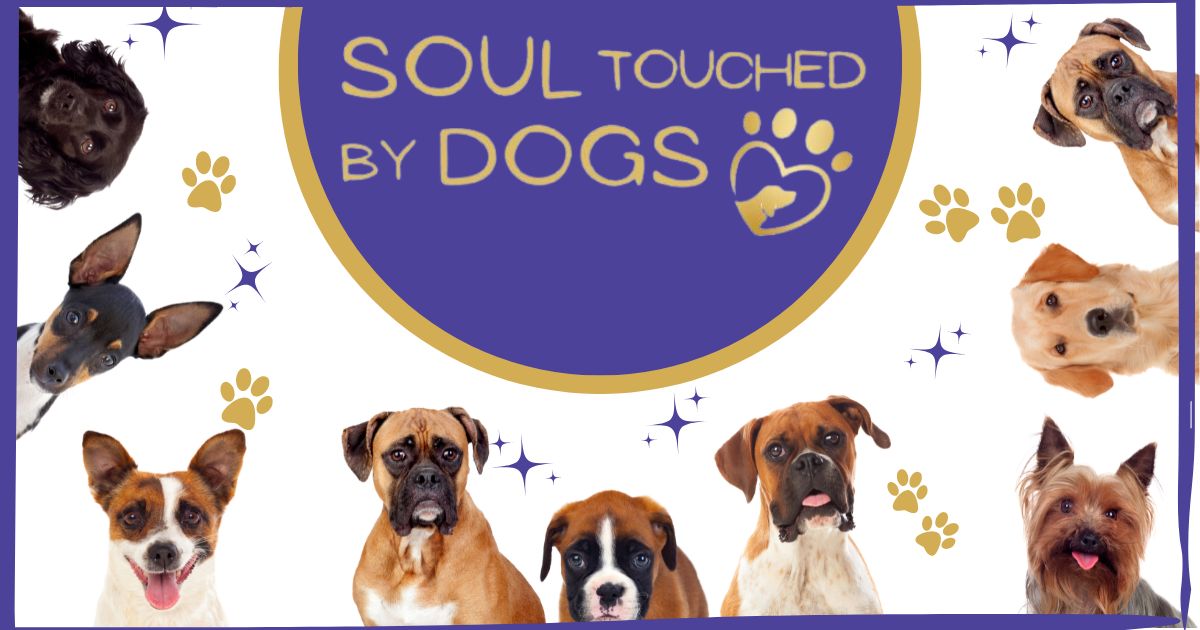 Soul Touched by Dogs