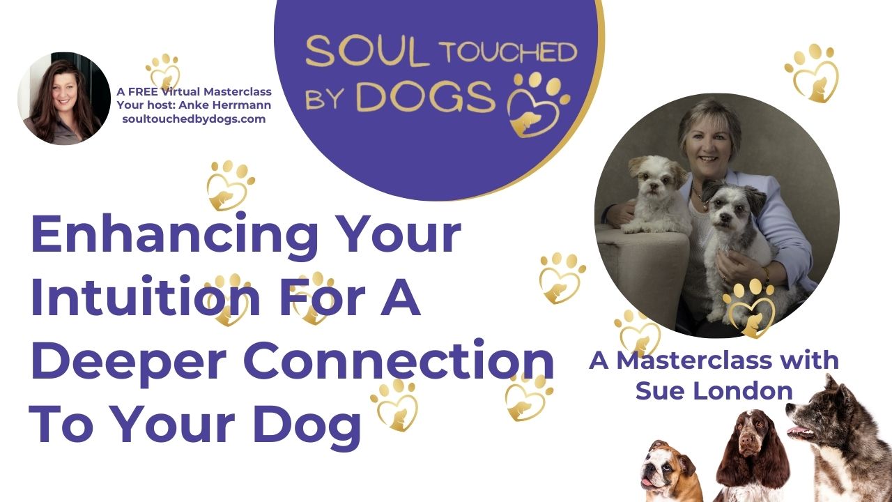 Soul Touched by Dogs LIVE Masterclass