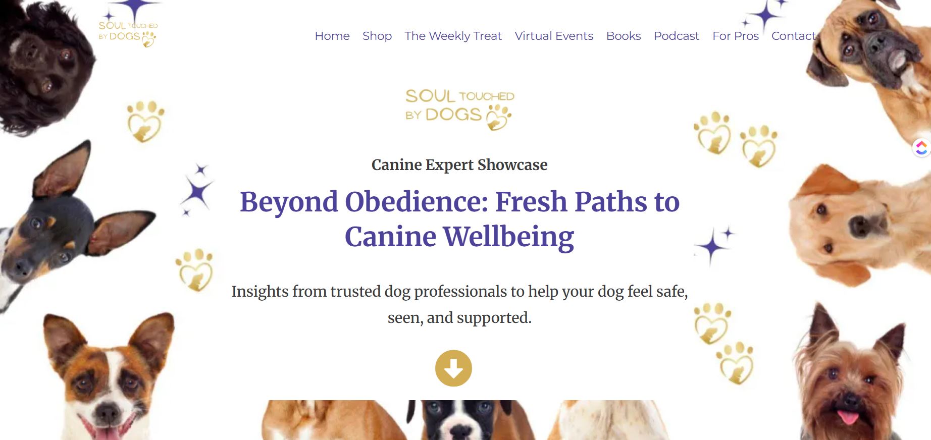 Canine Expert Showcase