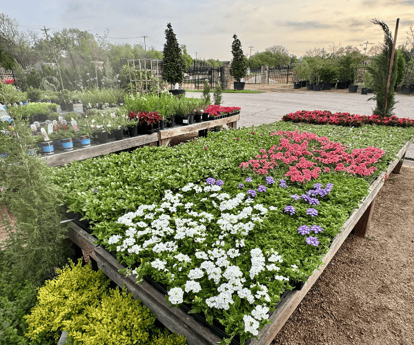 Land Care Garden Center | in Flower Mound