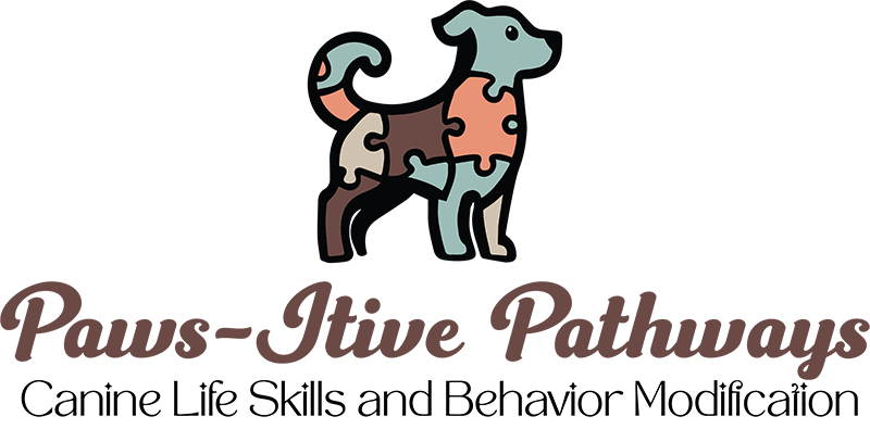 Contact Paws-Itive Pathways | Dog Training in Northern Virginia