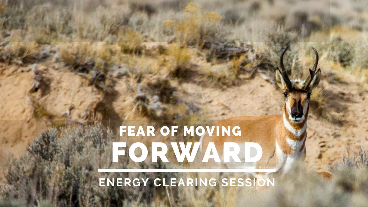 Fear of Moving Forward