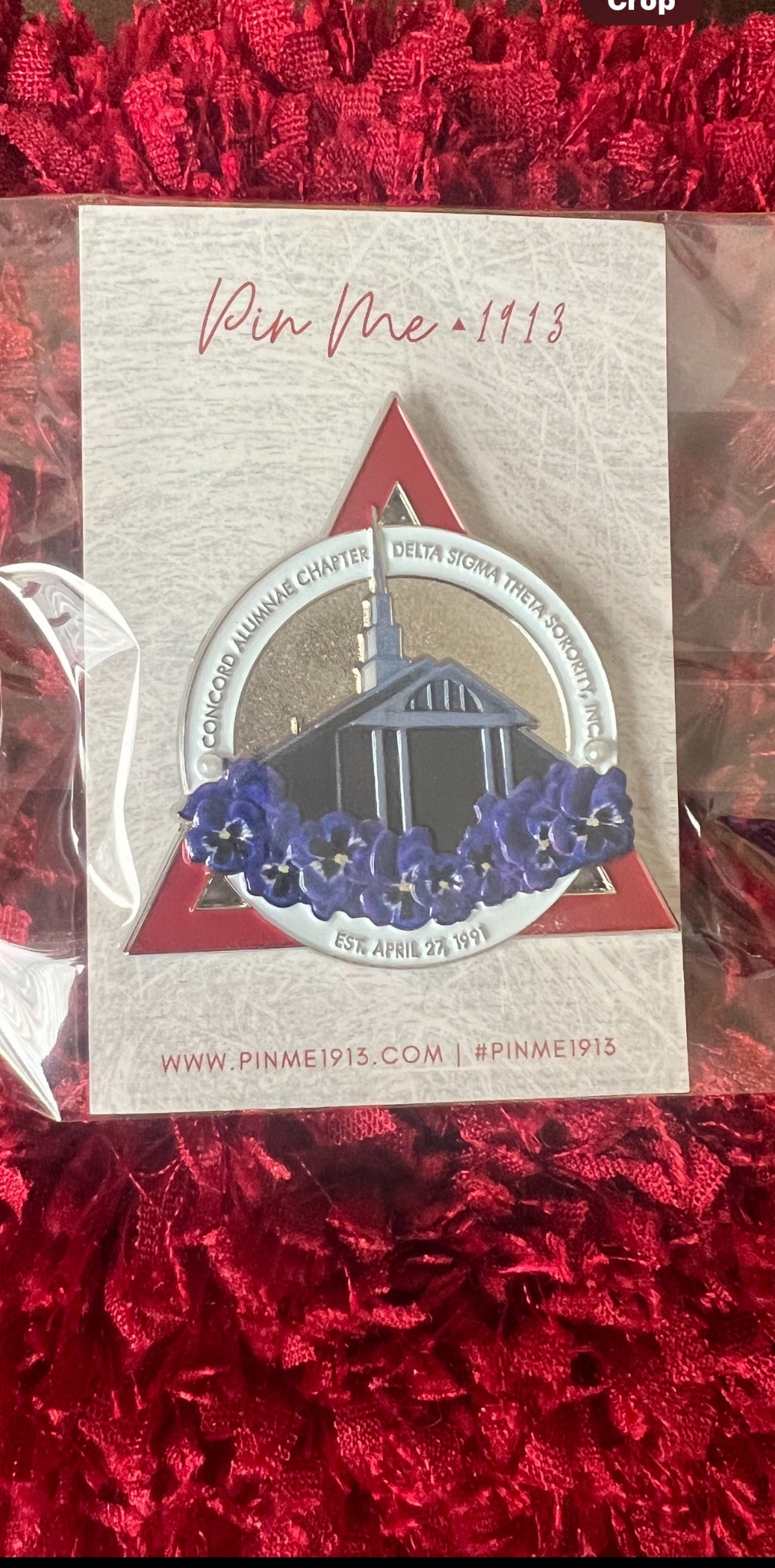 30th Anniversary Pin