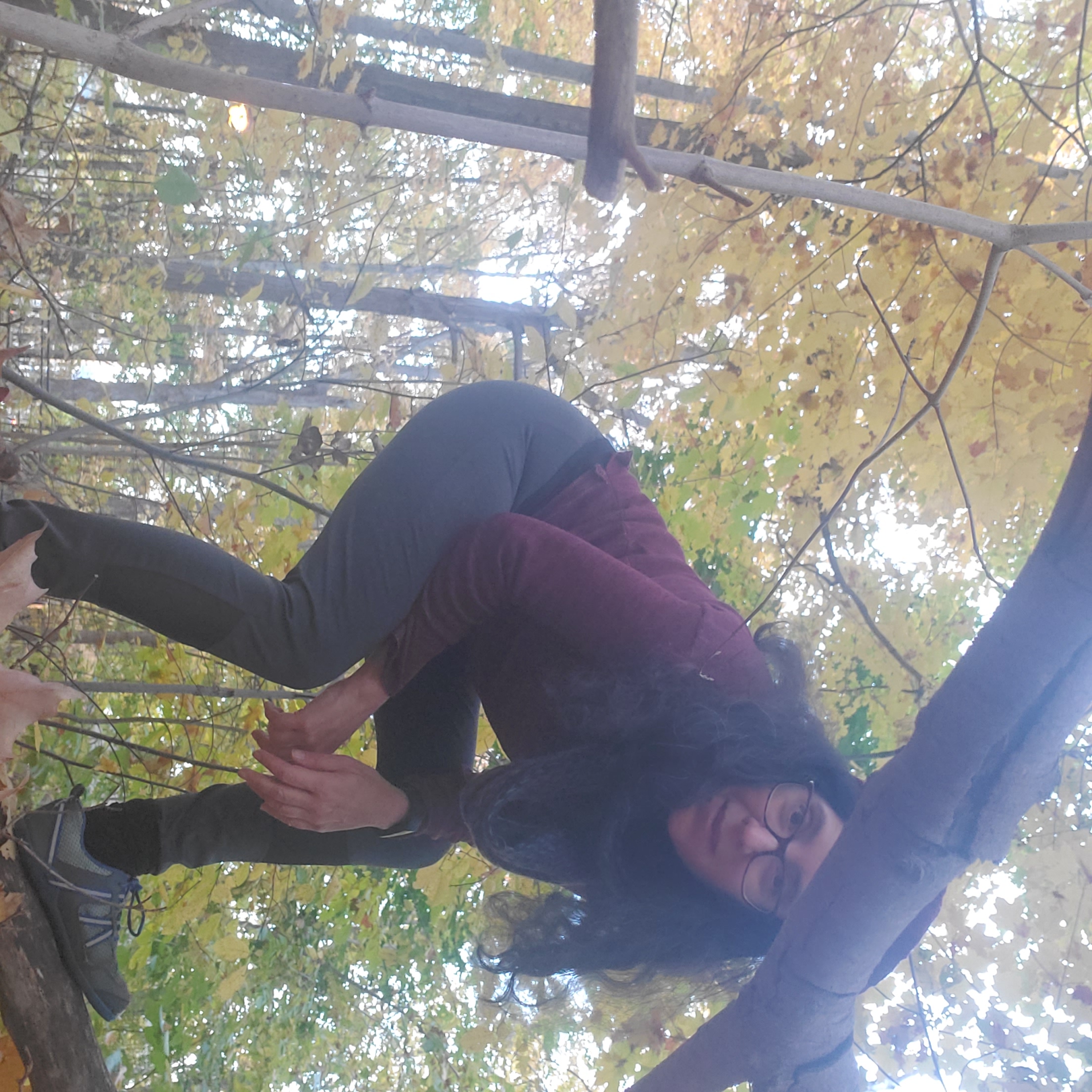 Walking Challenge - FALL with Tracy Seider