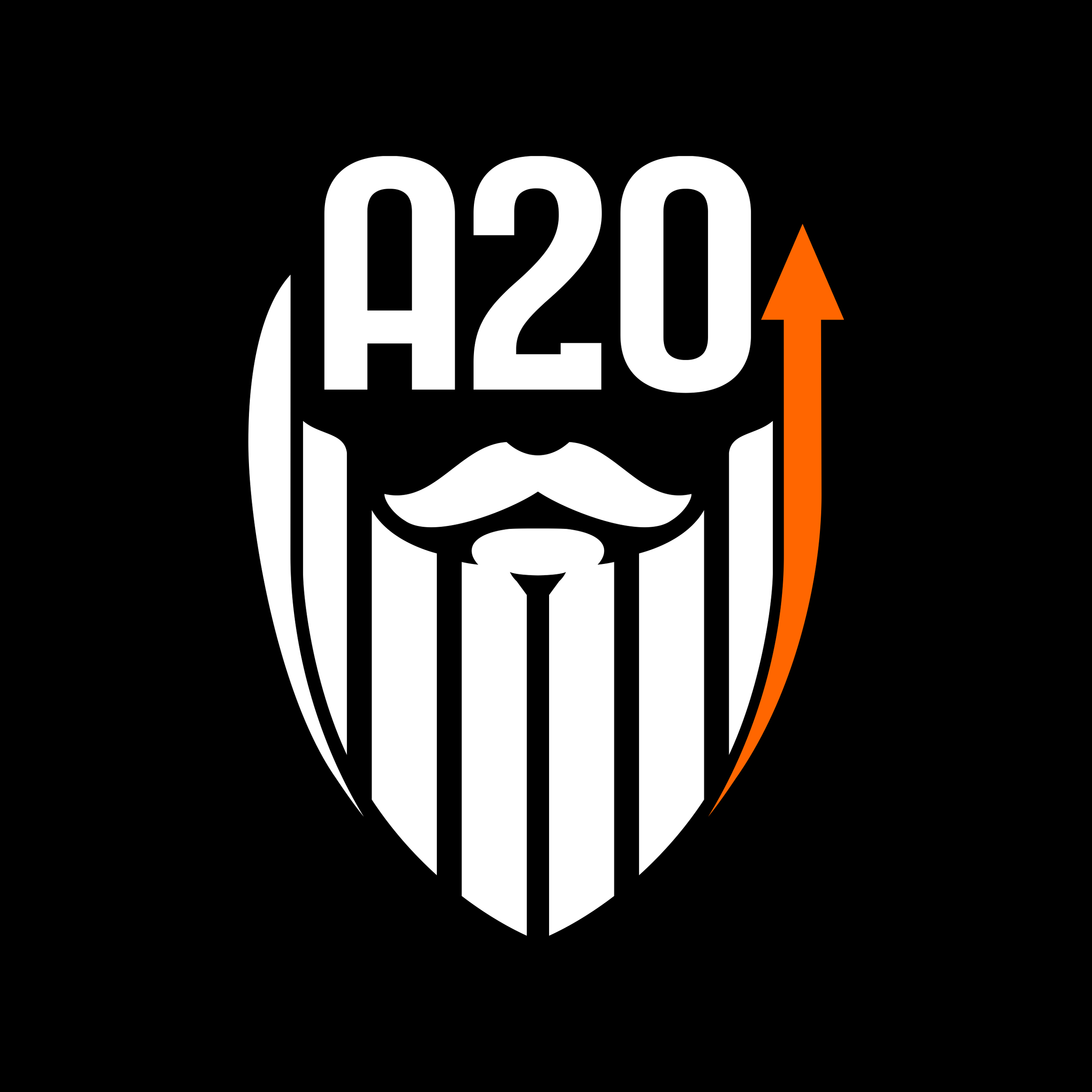 A2O Partners