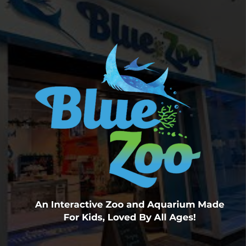 BLUEZOO 🪼 Fun. Learning. Discovery!