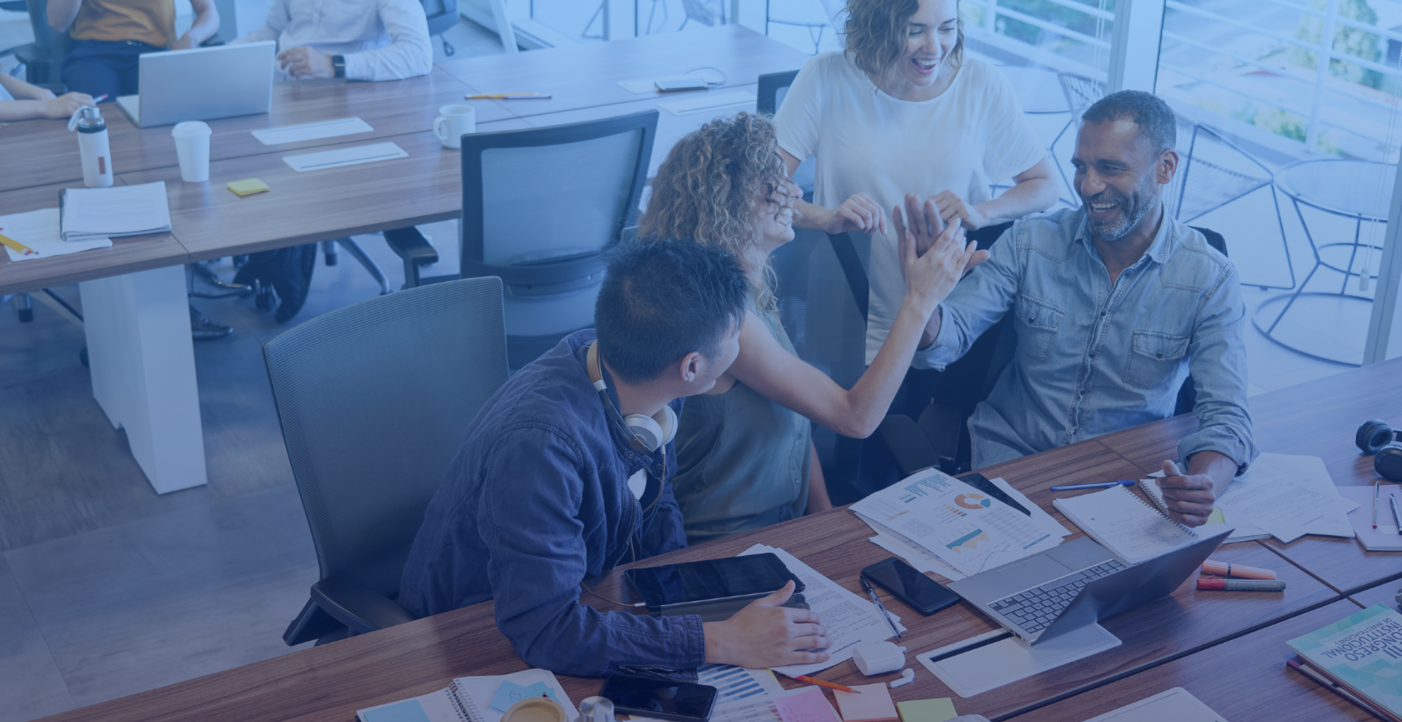 Free DISC Assessment | Focal Point Clearwater FL