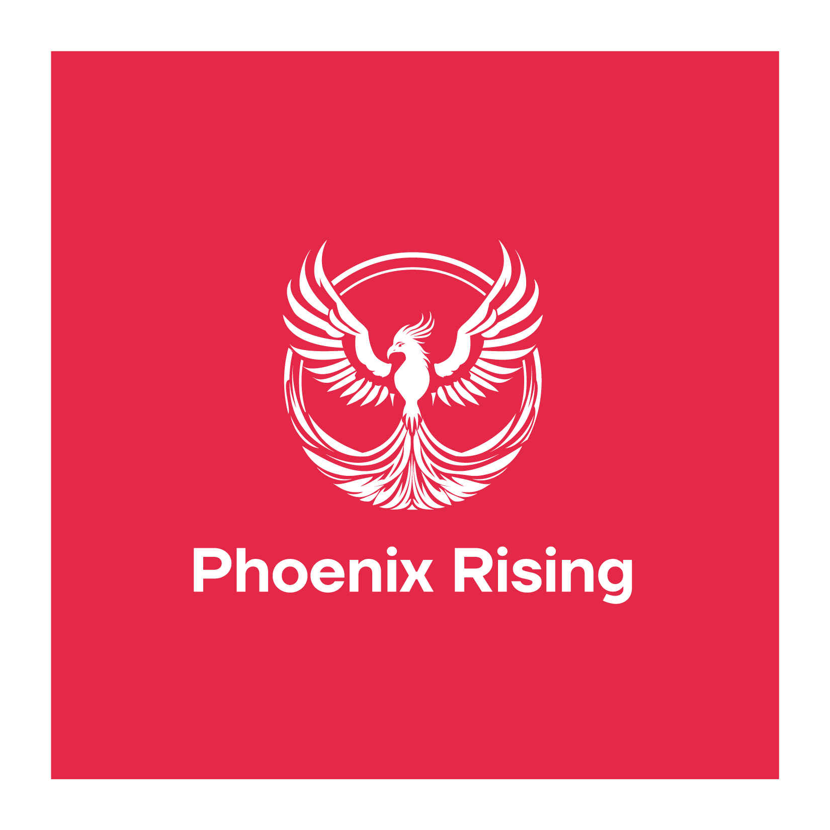 Phoenix Rising 2024