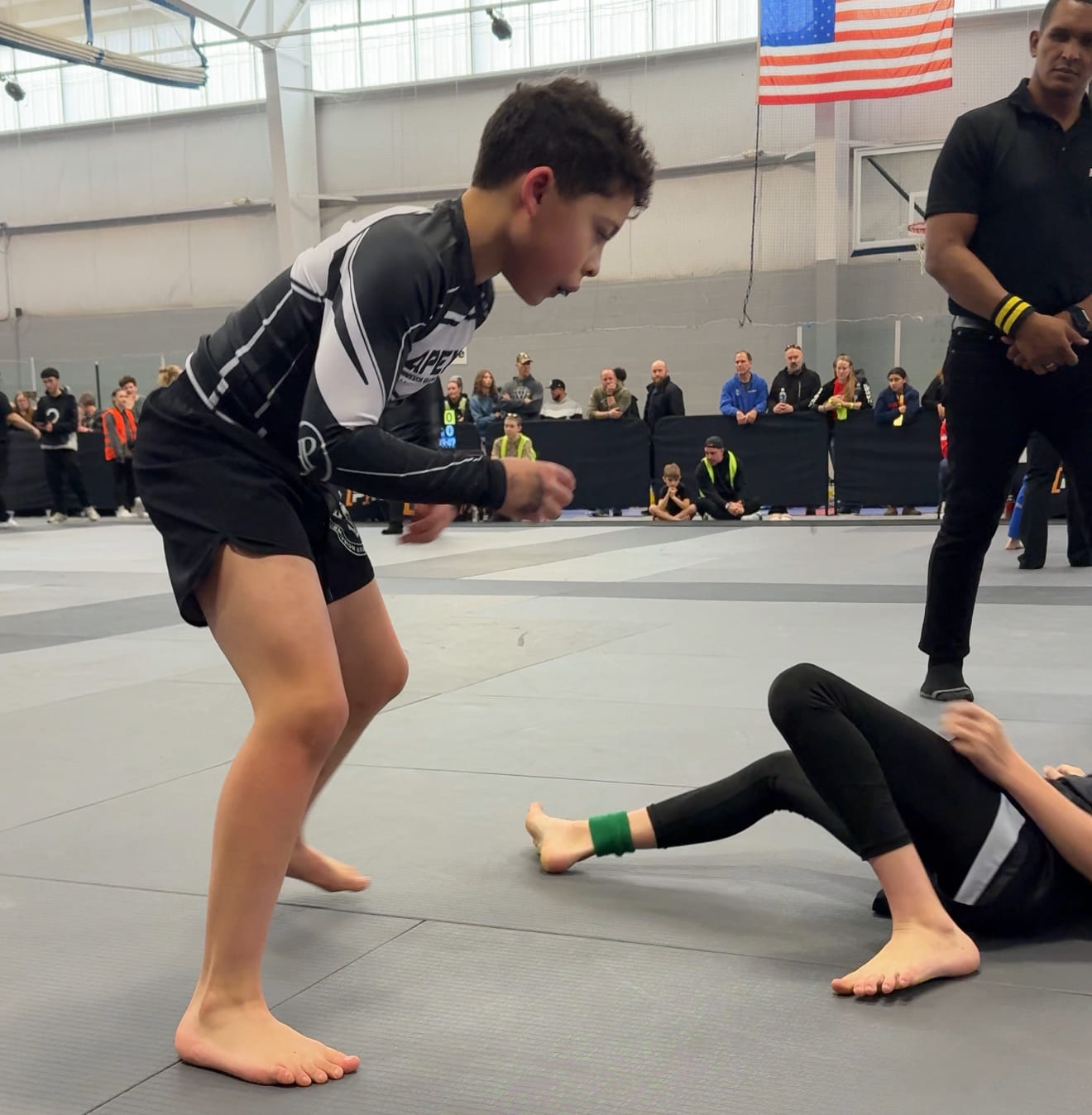 Apex/Double Phoenix Jiu-Jitsu Adult Program